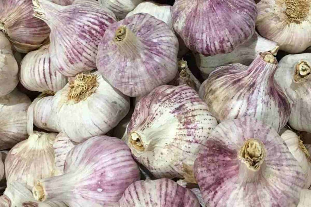 Los secretos de los ajos: calorías, valor nutritivo e índice glucémico ...